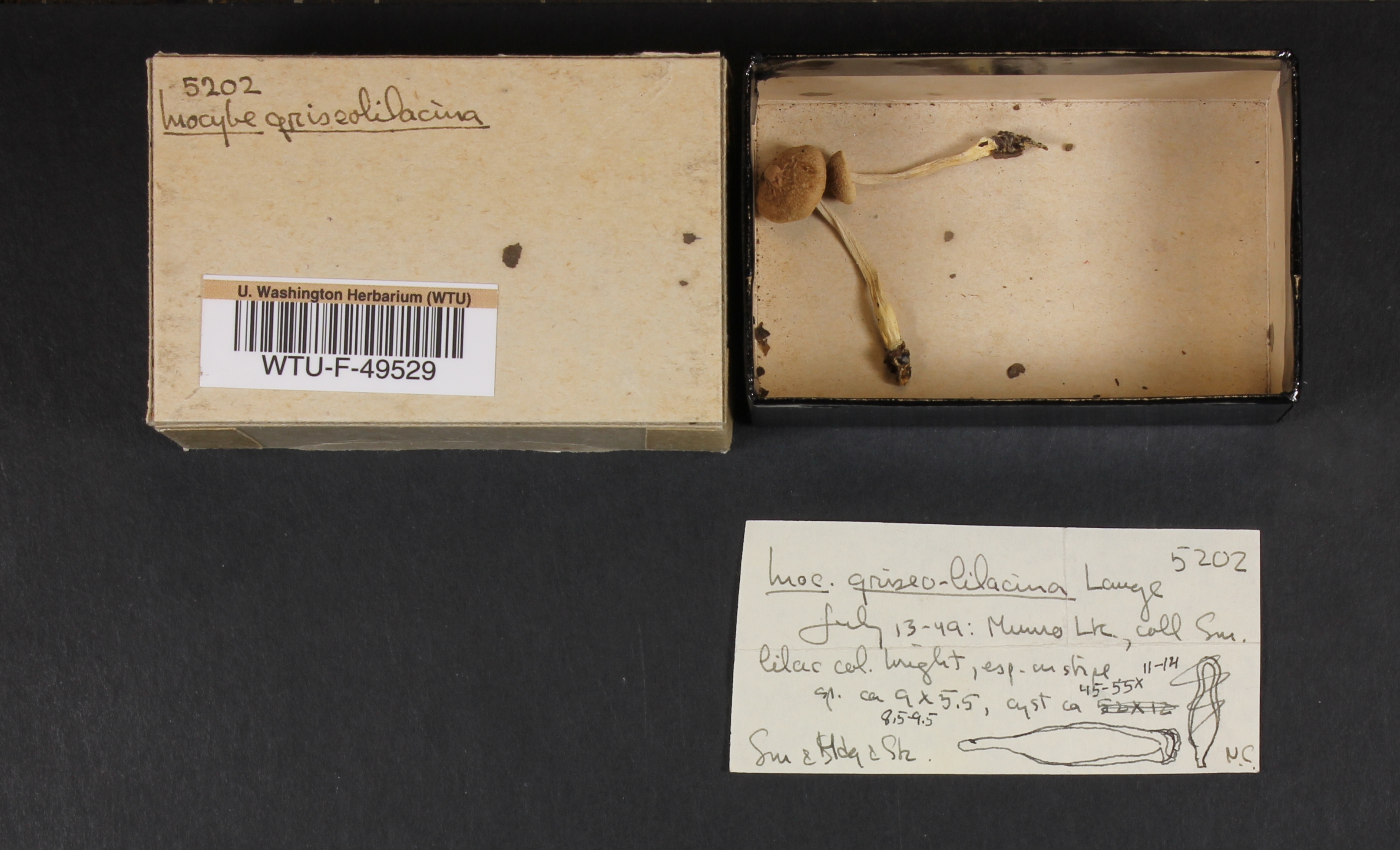 MyCoPortal Detailed Collection Record Information